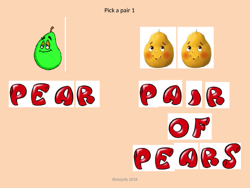 Pick-a-pair science literacy starter/plenary | Teaching Resources