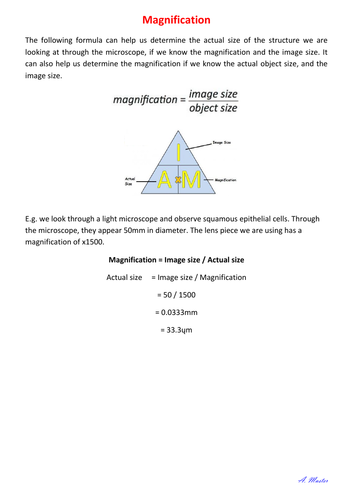 Magnification | Teaching Resources