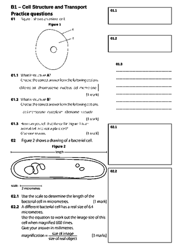 2018 AQA GCSE Biology Unit 1 (B1): Cell Structure and Transport Exam Questions | Teaching Resources