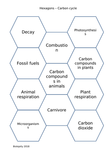 Carbon cycle - SOLO Hexagons | Teaching Resources Carbon cycle - SOLO Hexagons | Teaching Resources
