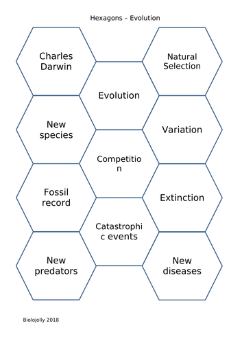 Evolution - SOLO Hexagons | Teaching Resources Evolution - SOLO Hexagons | Teaching Resources