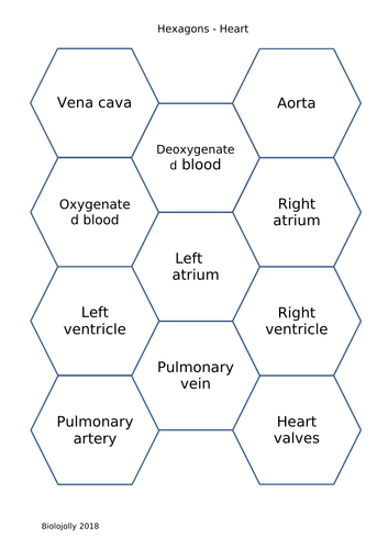 Heart - SOLO Hexagons | Teaching Resources Heart - SOLO Hexagons | Teaching Resources