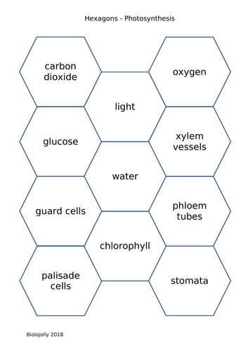 Photosynthesis - SOLO Hexagons | Teaching Resources Photosynthesis - SOLO Hexagons | Teaching Resources