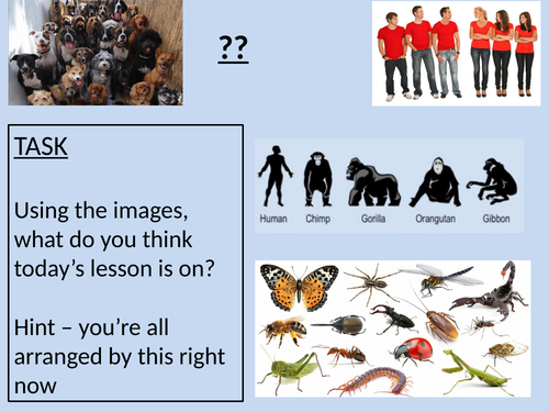 Classification 9 1 Aqa Gcse Teaching Resources