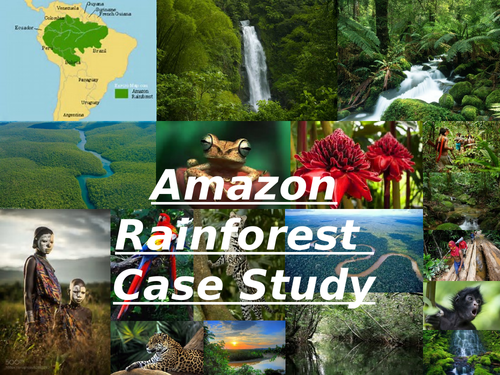 Case Study: Amazon Rainforest - Life Systems OCR Geography A-level ...