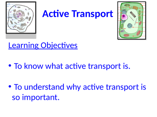 B1.9 Active Transport NEW AQA | Teaching Resources