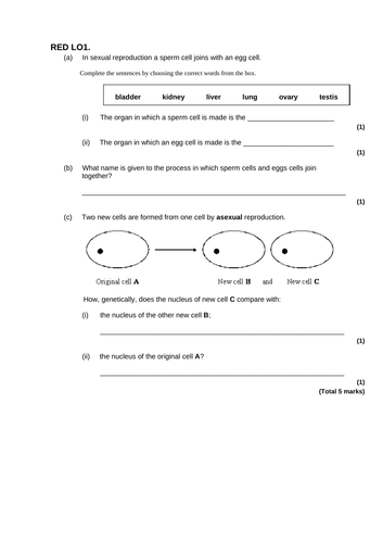 Inheritance, Variation & Evolution Scheme of Work | Teaching Resources
