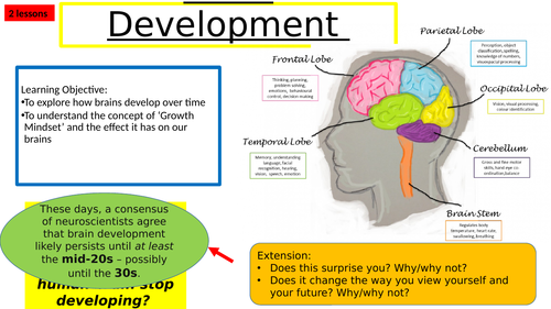 Brain Development and Growth Mindset X2 Lessons | Teaching Resources