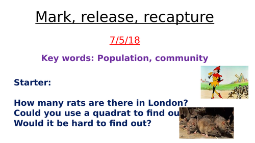 AQA A level Biology- Mark, release, recapture | Teaching Resources