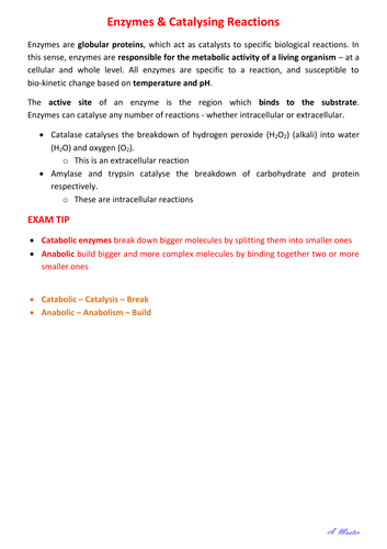 Enzymes & Catalysing Reactions | Teaching Resources
