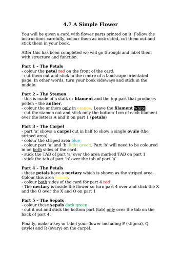 A Simple Flower Cut-And-Stick (GCSE or 6th Form) | Teaching Resources