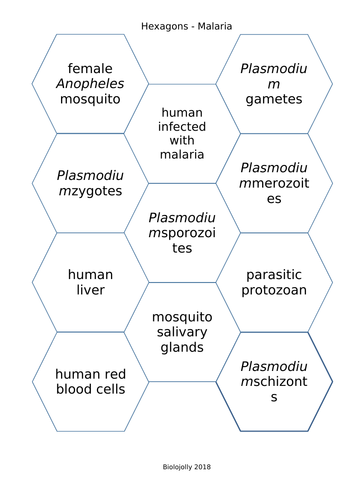 Malaria - SOLO Hexagons | Teaching Resources Malaria - SOLO Hexagons | Teaching Resources