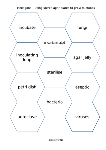 Microbes - growing - SOLO Hexagons | Teaching Resources Microbes - growing - SOLO Hexagons | Teaching Resources
