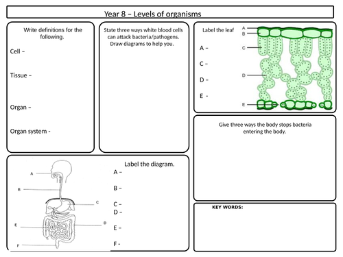 Knowledge organiser year 8 | Teaching Resources
