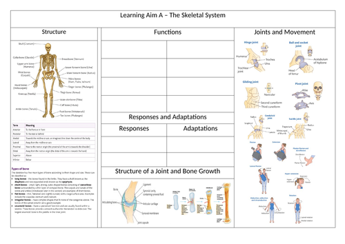 BTEC Sport L3 Unit 1 - Skeletal System | Teaching Resources BTEC Sport L3 Unit 1 - Skeletal System | Teaching Resources