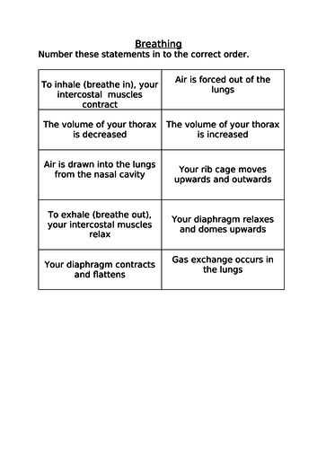 Breathing (Lesson 3 - Chapter 2) Activate 1 | Teaching Resources