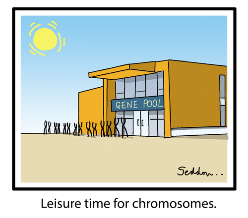 Gene Pool-Funny Chromosome Cartoon | Teaching Resources