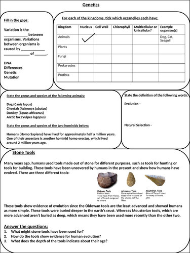 Evolution/Genetics Revision Activity Sheet | Teaching Resources Evolution/Genetics Revision Activity Sheet | Teaching Resources