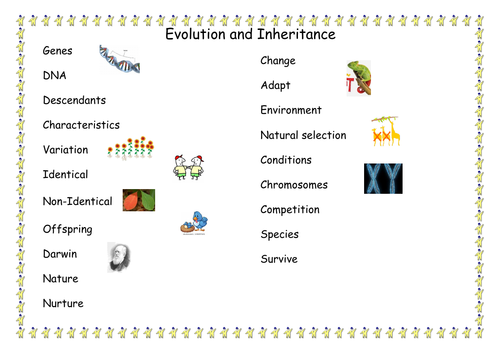Vocabulary resources inheritance evolution | Teaching Resources Vocabulary resources inheritance evolution | Teaching Resources