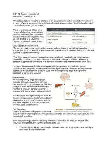 OCR A Level Biology Module 5 Revision Notes | Teaching Resources