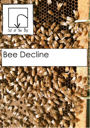 Bees | Teaching Resources