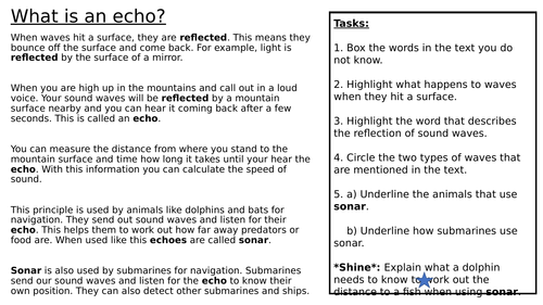 Active reading exercise: What is an echo? | Teaching Resources
