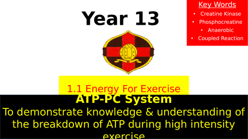 OCR A Level PE- ATP-PC System | Teaching Resources OCR A Level PE- ATP-PC System | Teaching Resources