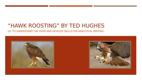 "Hawk Roosting" by Ted Hughes | Teaching Resources