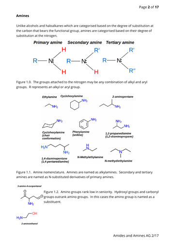 Amines and amides notes | Teaching Resources
