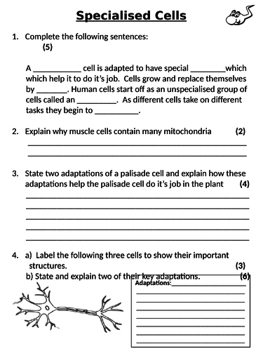 NEW AQA GCSE Trilogy (2016) Biology - Specialised Cells Homework ...