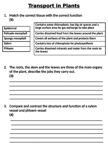 NEW AQA GCSE Trilogy (2016) Biology - Transport in Plants Homework ...