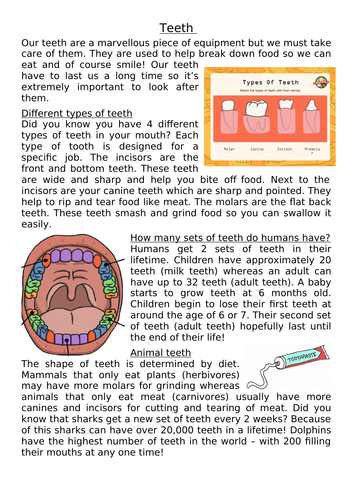 Primary Teaching Resources: Activities for Year 1-6 | Tes