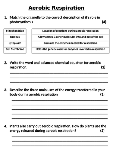 Cellular Respiration Worksheet