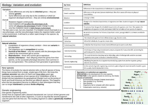 AQA 9-1 Biology Evolution activity | Teaching Resources