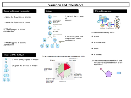 AQA Biology combined science - Variation and Inheritance revision | Teaching Resources