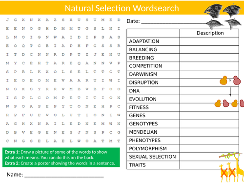 Natural Selection Wordsearch Sheet Starter Activity Keywords Cover ...