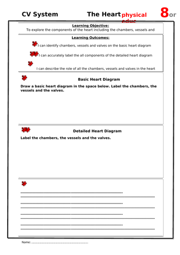 The Heart GCSE and A Level PE | Teaching Resources