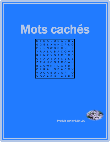 Bien Dit 1 Chapitre 7 Wordsearch | Teaching Resources