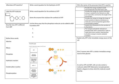 ATP guided research sheet | Teaching Resources