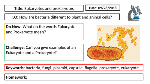 Aqa Gcse Biology New Specification B1 Eukaryotes And Prokaryotes