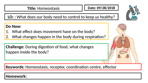 AQA GCSE Biology New Specification - B5 Homeostasis | Teaching Resources