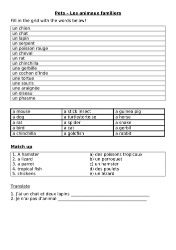 Pets Vocabulary Activity Sheet (French) | Teaching Resources