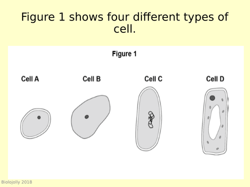 Cells - worked exam question | Teaching Resources