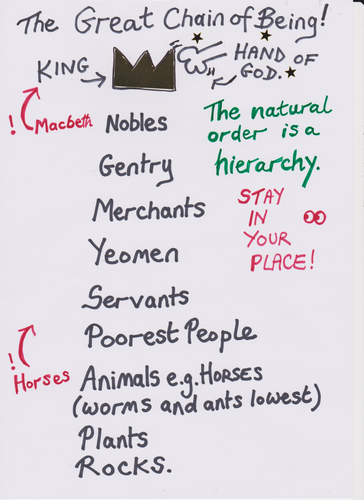 'MACBETH' - ANIMALS IN CHAOS! VIDEO | Teaching Resources