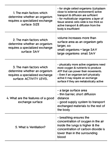 3.1.1 EXCHANGE SURFACES | Teaching Resources
