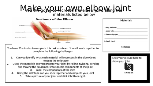 Make your own elbow joint - Muscular Skeletal System | Teaching Resources