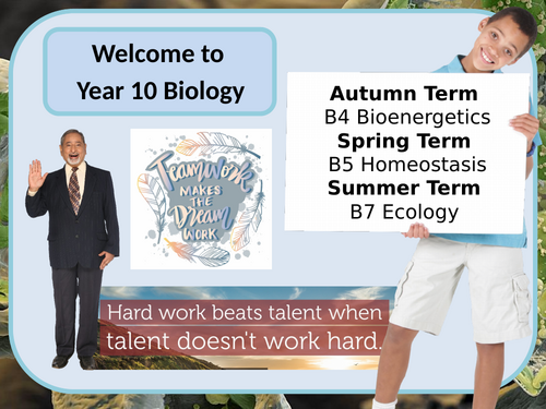 AQA GCSE Biology B4 Bioenergetics L1 Photosynthesis | Teaching Resources