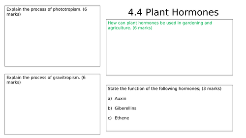 Plant Hormones Revision Mat | Teaching Resources