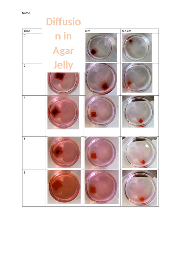 Diffusion in Agar | Teaching Resources