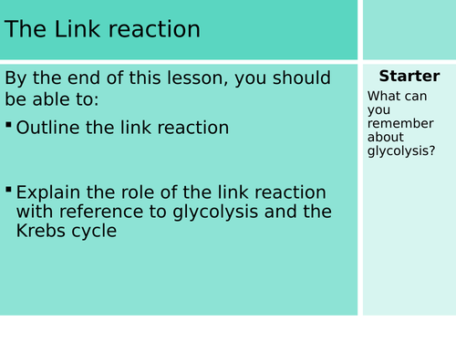 The Link reaction Complete Lesson (H420) | Teaching Resources